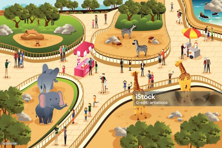 When RTLS technology is implemented in amusement parks – GEOPLAN